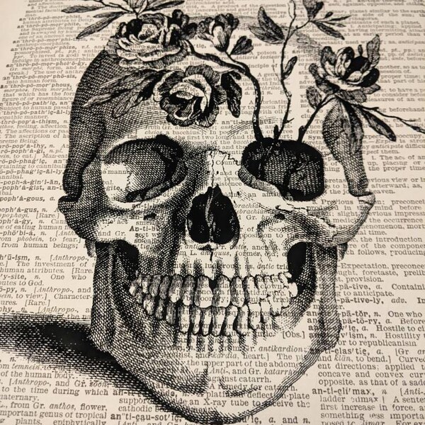 Funny Bird Prints, Quirky Art, Quirky Home Decor, Quirky Gifts ...