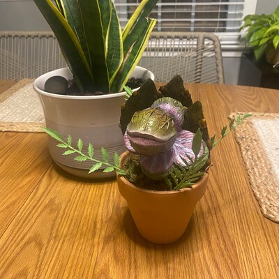 Baby Audrey 2 - Etsy