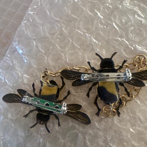 Beetle Sunglasses, Oddities, Beetle, Bettle Glasses, Insect Sunglasses ...