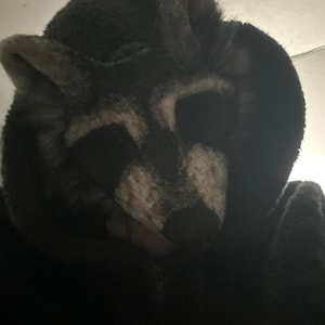 Pug Animal Mask - Etsy