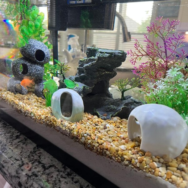 Small Fish Hide MADE TO ORDER Betta Fish Cave Small Aquarium Decor Fish ...
