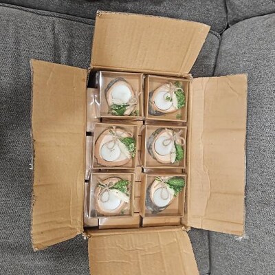 Cream Pashmina Scarf, Pashminas Wrap, Personalized Pashmina, Bridesmaid ...