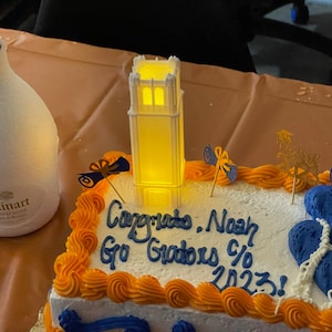 University of Texas Graduation Party Decoration UT Cake - Etsy