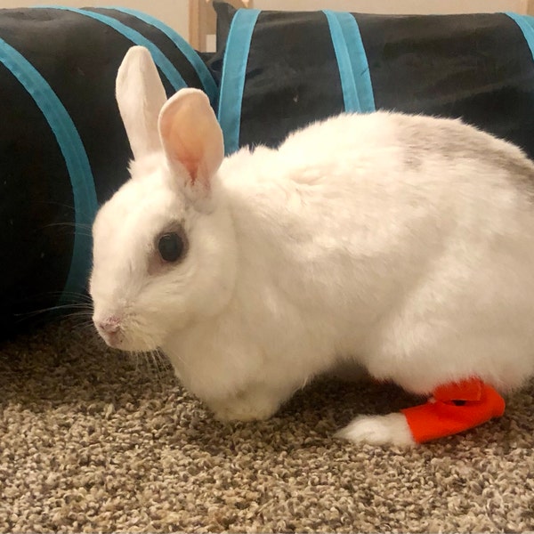 Digital Download Plans for Luxury Bunny Cubby Free Roam Rabbit Cat Home ...