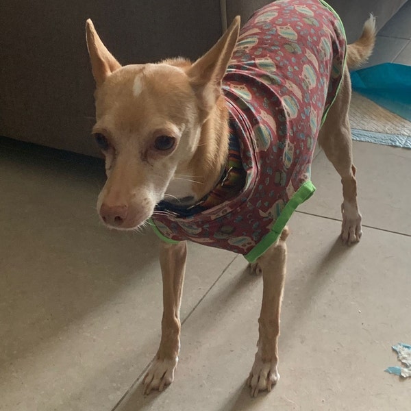 Dog Fleece Polo PDF Sewing Pattern Sizes XXS to 3XL (8 Sizes) Instant ...