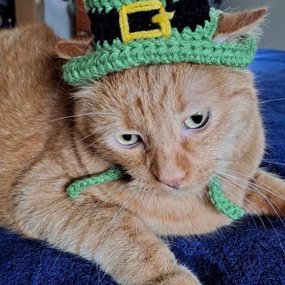 Crochet Pattern 059 Crown for Cat, Crown for Small Dog, Pet Costumes ...