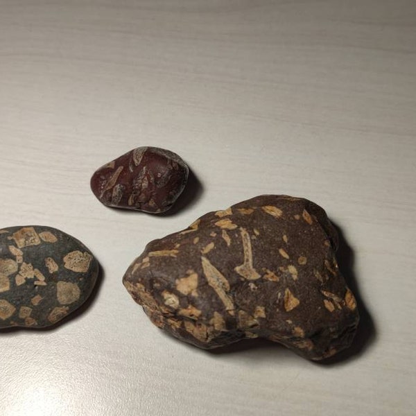 Thick Polished Porphyry With Big Crystals, Cross-like Feldspar Crystals ...