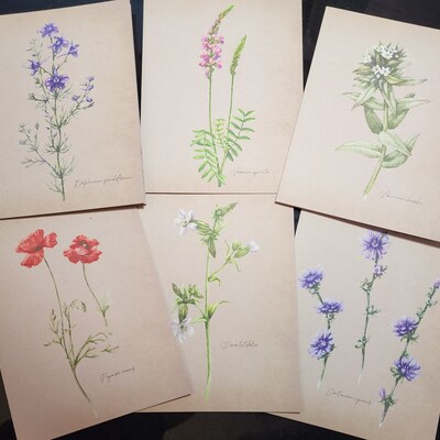 Watercolor Vintage Botanical Floral Wildflower Notecards 12 Card Gift ...