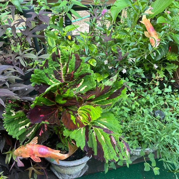 Copper 3 Piece Metal Cactus Set by Clever Goods Co Garden Decor, Garden ...