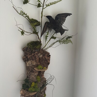 Floating Forest Trio Moss Wall Art, Wall Decor, 3 Cork Bark W ...