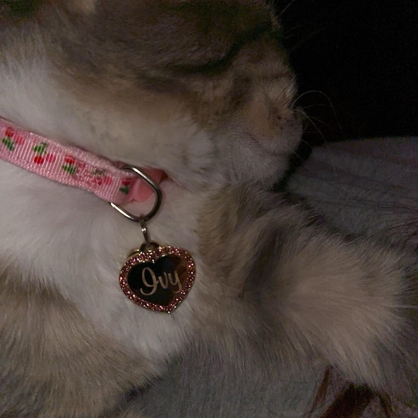 Wade Wilson "deadpool" Stainless Steel WWII Military Dog Tag Set ...