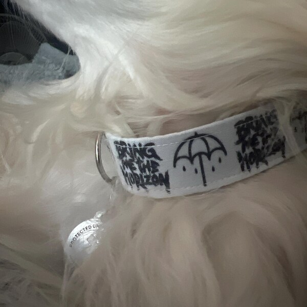 My Chemical Romance Band Dog Collar 2.0 - Etsy