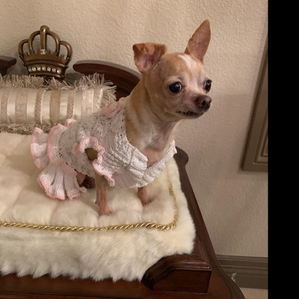 White Cotton Dog Dress Clothes for Small Dogs Custom Sweater for Dogs ...