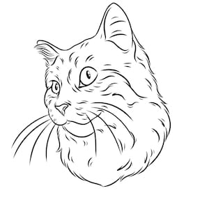 Digital Pet Outline SIMPLE Dog Cat Vector Line Out Drawing, Pet Sketch ...