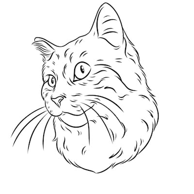 Digital Pet Outline SIMPLE Dog Cat Vector Line Out Drawing, Pet Sketch ...