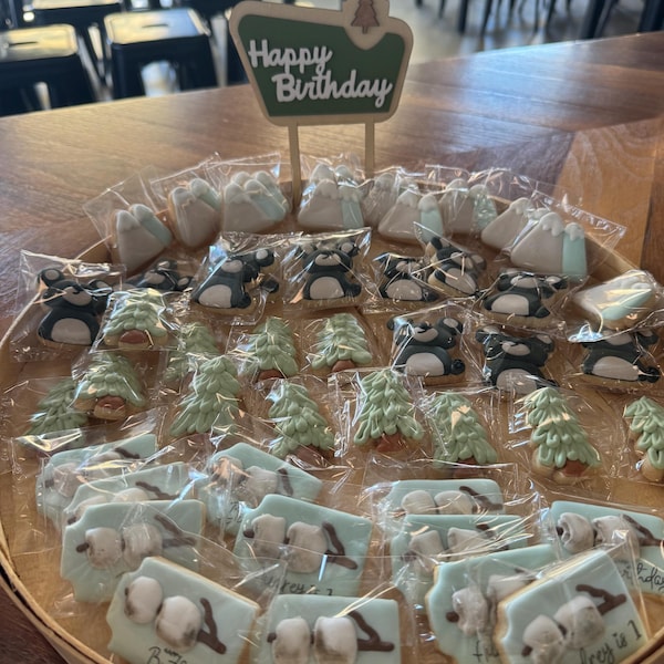 Mini Summer Camp Cookies Camping Cookies Summer Cookies Birthday ...