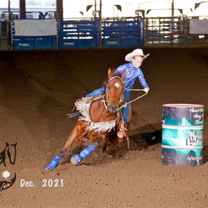 Leadline Set Colors Zip Shirt Collar Western Pleasure Rail | Etsy