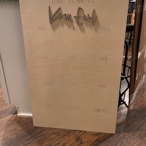 One Year Of 12 Months Of Photography Prop Babies 1st | Etsy