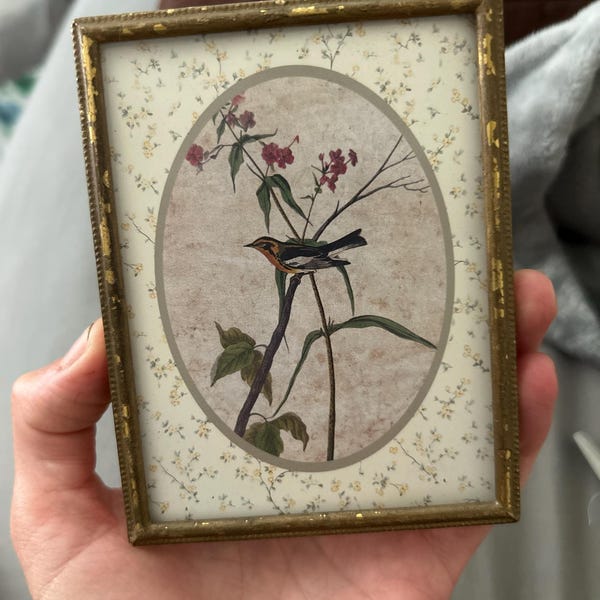 5 Hand Drawn Silly Goose Clipart PNG, Bow, Ribbon, Whimsical, Minimal ...