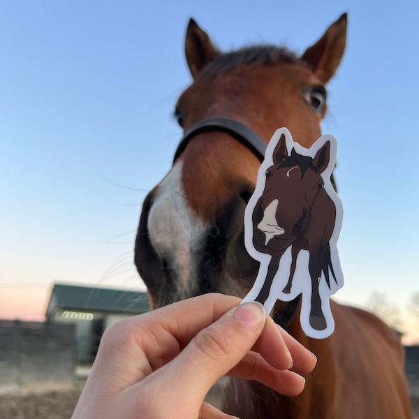 Customizable Horse Sticker Personal Decal Gift for Equestrian Handmade ...