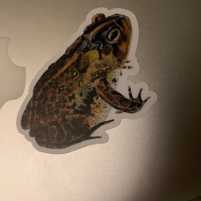 Frog Laptop Sticker, Antique Toad Vinyl Vintage Stickers, Fun Outdoor ...