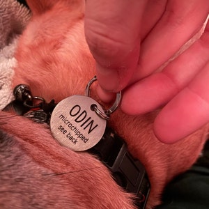 QR Code Pet Tag Scannable Pet Tag Digital ID Tag Custom Pet Tag Cute ...