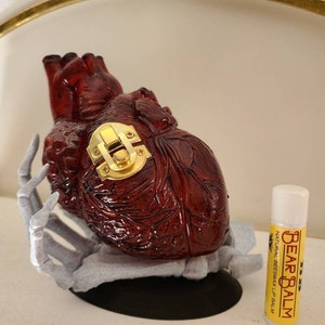 Realistic Heart-shaped Box 2 Styles Anatomical Heart - Etsy