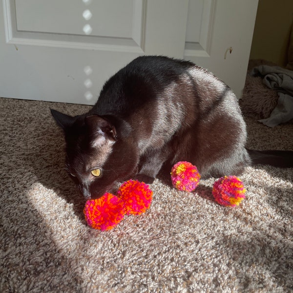 Catcorn, Pom Pom Cat Toy Popcorn (10 Toy Set) - Etsy