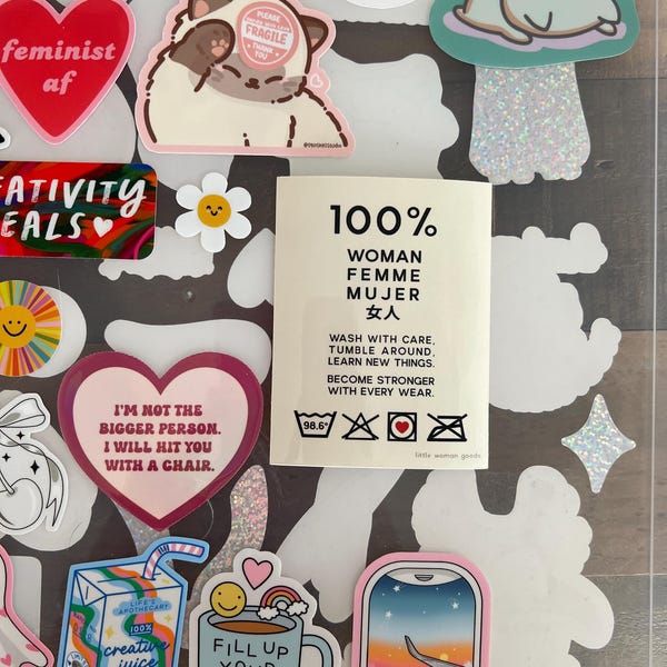 Feminist Enamel Pin Don't Let the Bastards Get You Down Motivational ...