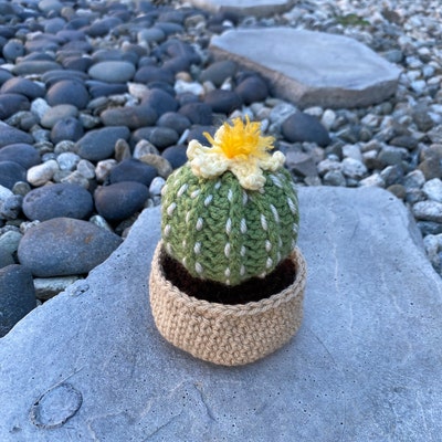 Barrel Cactus Crochet Pattern - Etsy