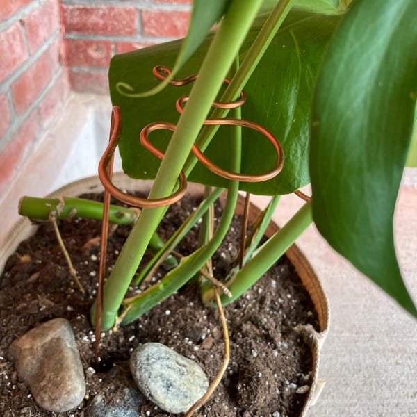 Decorative Plant Stakes, Copper Plant Supports, Modern Plant Sticks ...