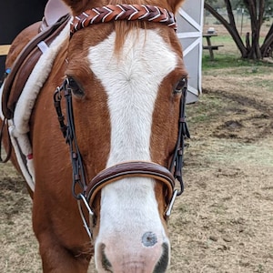 Turkey Box Call Holster / Case - Etsy