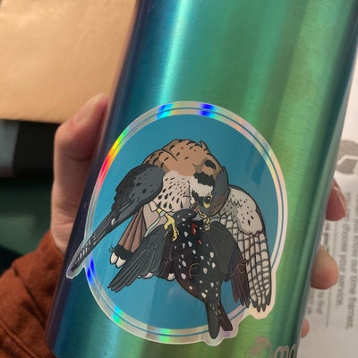 Holographic Falconry Sticker Bundle/ Bird Stickers/ Raptor Stickers ...