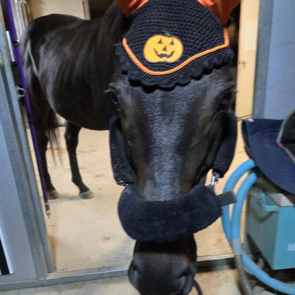 Hand Made Christmas Santa Claus Horse Ear Bonnet Fly Veil Cotton ...