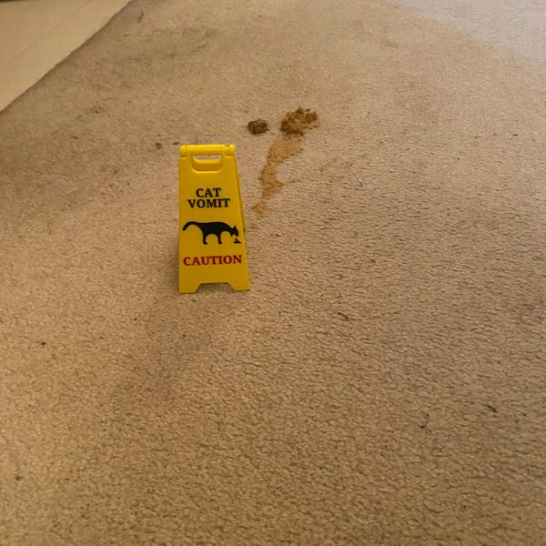 Mini Cat Vomit Wet Floor Sign (5 Inches Tall) - Etsy
