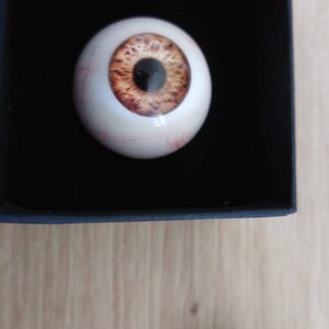 Complete Round Realistic Human Eyeball, Available in 6 Different Colors ...
