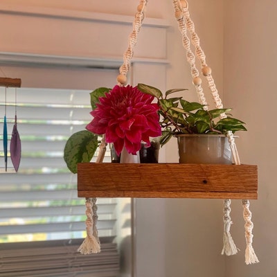 Solid Oak 3 Tube Plant Propagation Station - Etsy