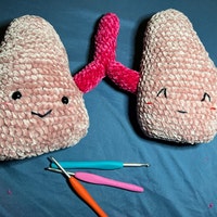 11 Crochet Organs Patterns EBOOK PDF Amigurumi Heart Liver - Etsy Australia