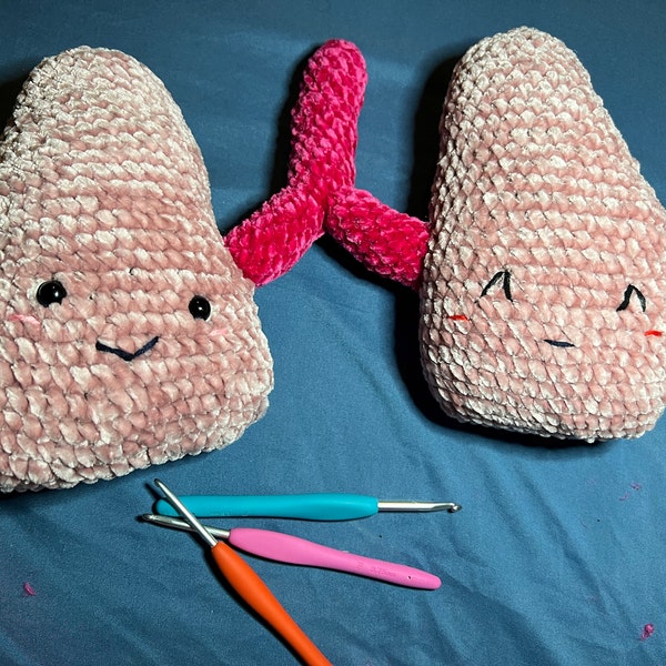 11 Crochet Organs Patterns! EBOOK PDF Amigurumi Heart Liver Kidney ...