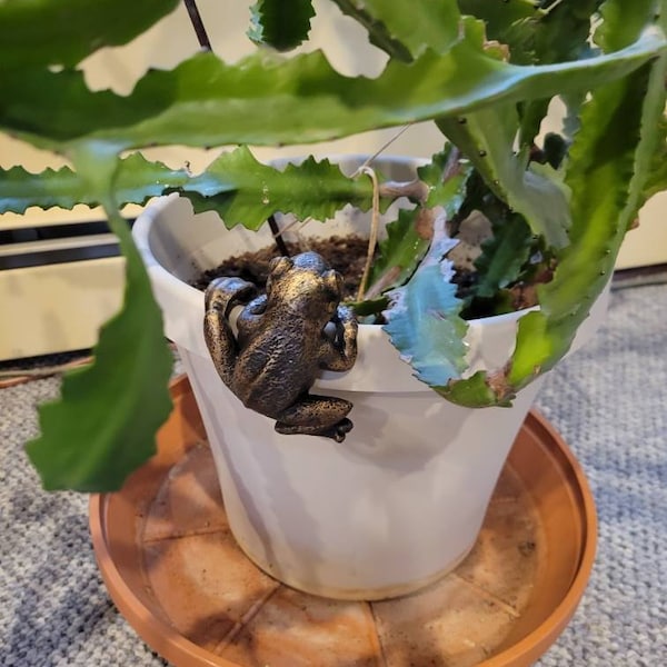 Brachiosaurus Pot Buddy | Home & Garden Dinosaur Decor | British Design ...