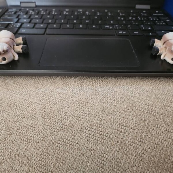 Rainbow Axolotl | Mini Desk Buddies, 3d Printed Toys, Desk Animals ...