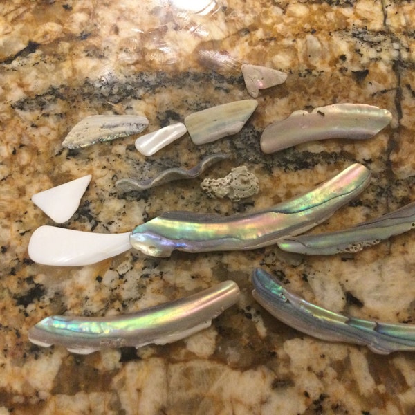 Abalone Paua Shell Inlay: Ring Jewelry, Woodwork, Arts and Crafts - Etsy