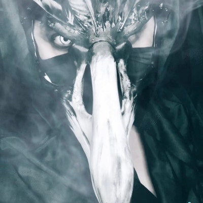 Raven Bird Skull Corvus Bone Skull Mask Movable Moving Hinge Jaw 3D ...