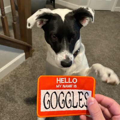 Cute Joy Mint Candy Christmas Embroidered Iron on Patch - Etsy