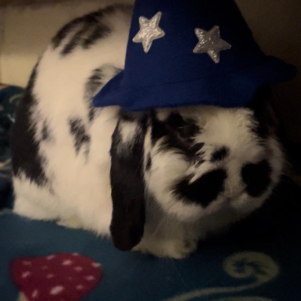 Sorcerer, Wizard, Witch Hat for Pet Bunny Rabbit and Other Small Pets ...