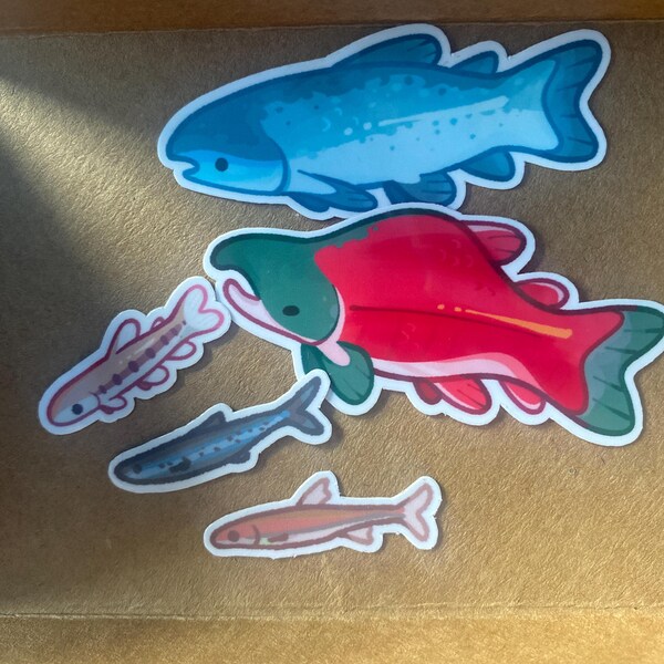 Salmon Stickers! Sockeye Fishy + More - Etsy