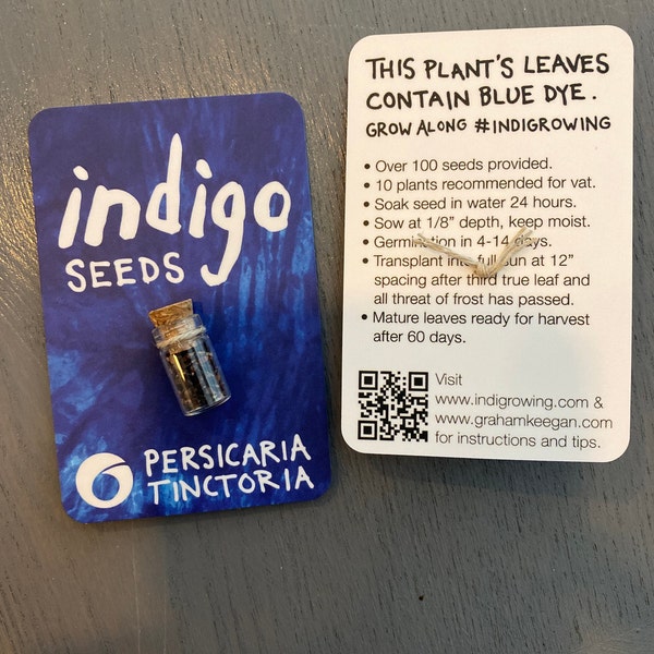 Weld Seeds : Yellow Natural Dye Plant - Etsy