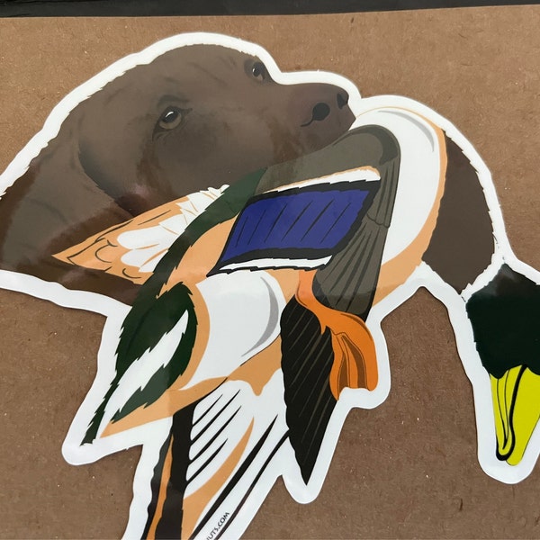 Cutthroat Trout Sticker Decal Designed by Morgan Brown - Etsy
