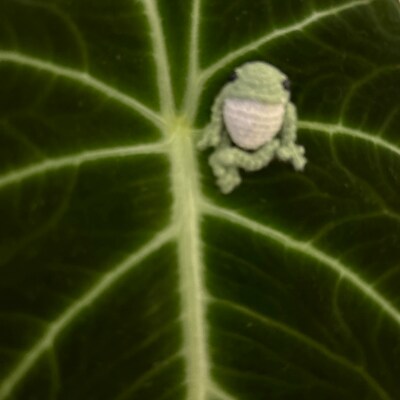 Custom Micro Baby Dragon in Walnut. Dollhouse Miniature Tiny Dragon ...