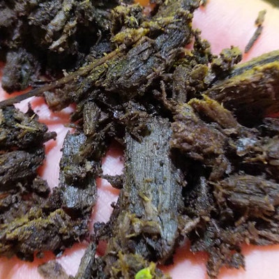 Shredded Rotten Wood flake Soil Beetle, Millipede, Isopod Substrate - Etsy